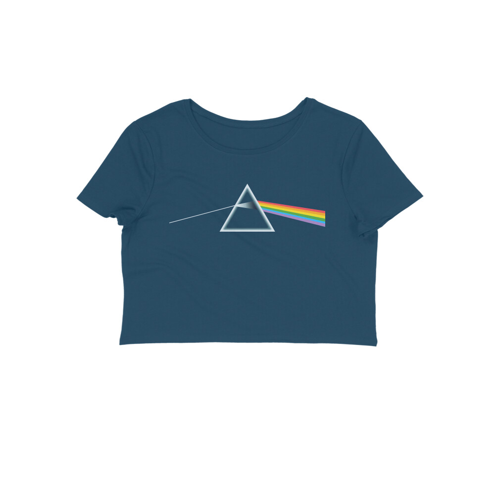 Pink Floyd Crop Top | Minimal DSOTM - Wittee